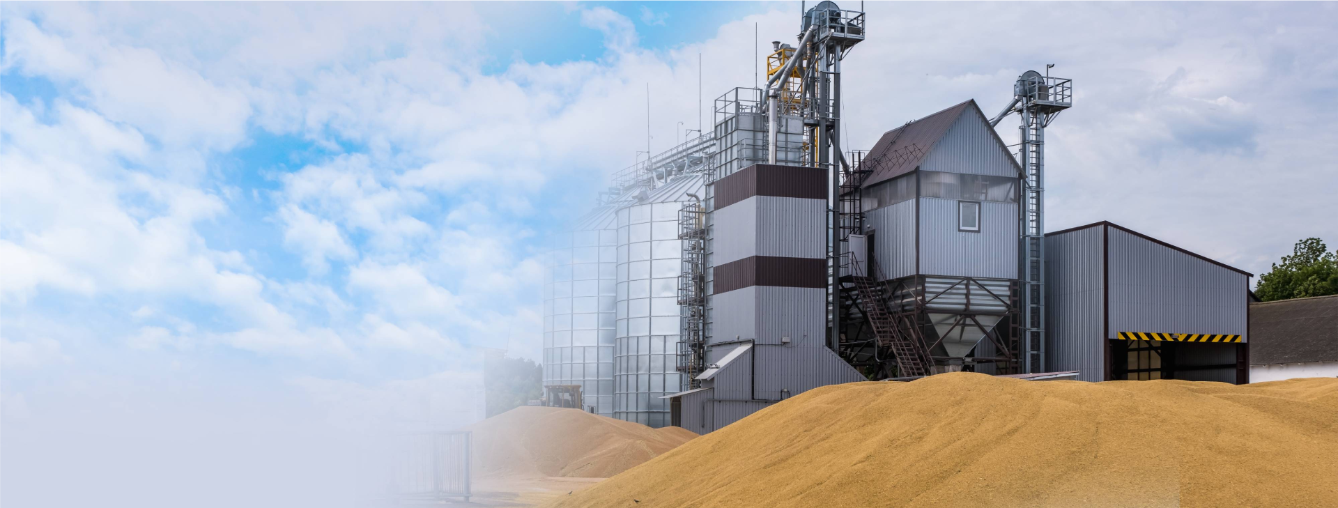 Grain Processing and Milling | GCP Migration | SAP on Cloud | Cloud4C
