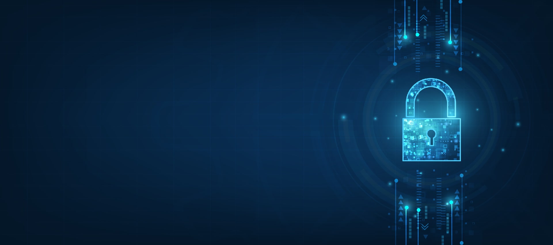 Data Privacy on Cloud Guide| Blog - Vietnam